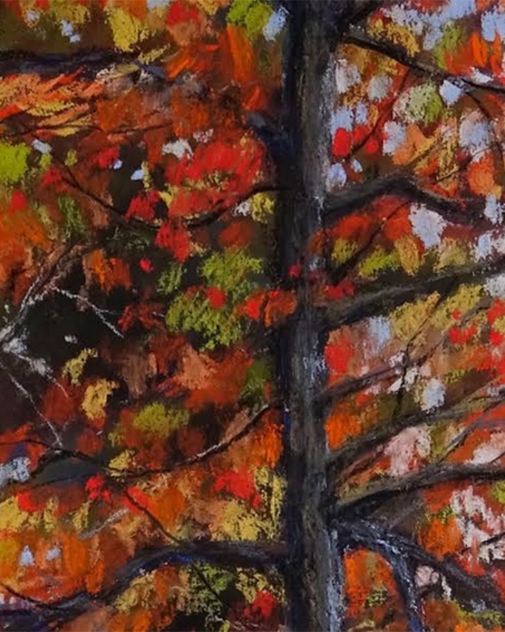 Learn Drawing and Painting Arts Basics & Techniques - Kokuyo Camlin